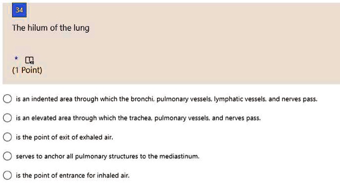SOLVED: The hilum of the lung is an indented area through which the ...