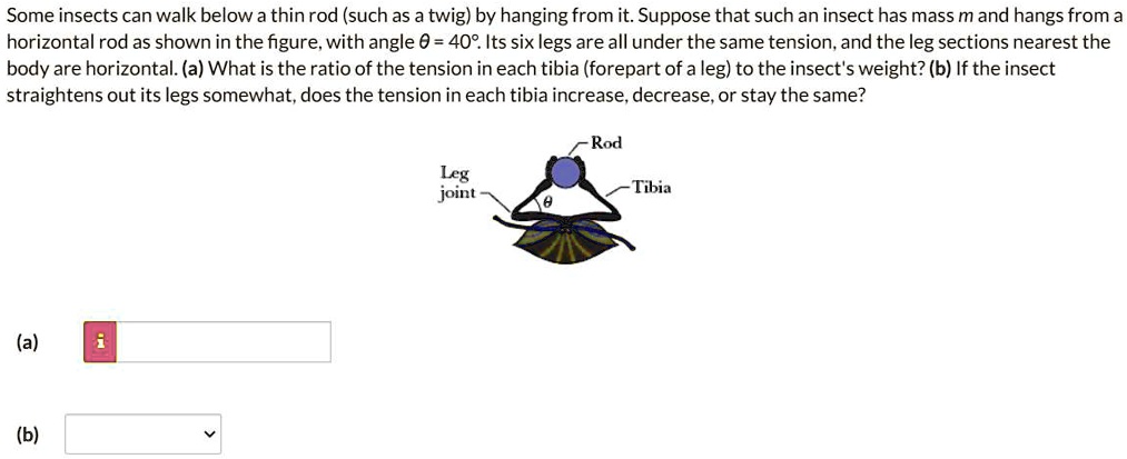 [GET ANSWER] some insects can walk below thin rod such as a twig by ...