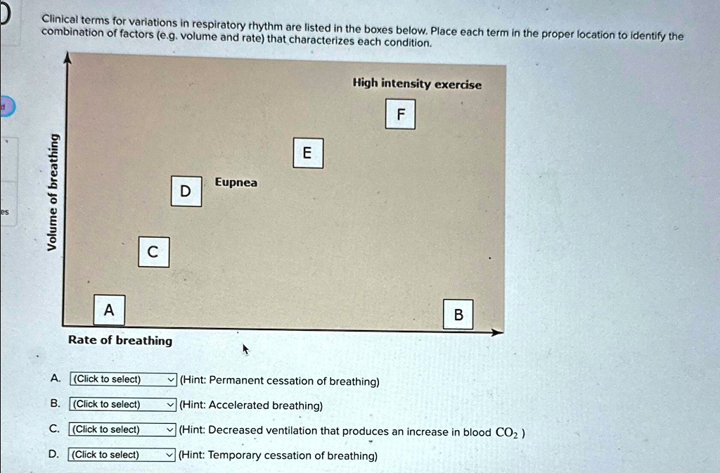 Clinical terms for variations in respiratory rhythm are listed in the ...