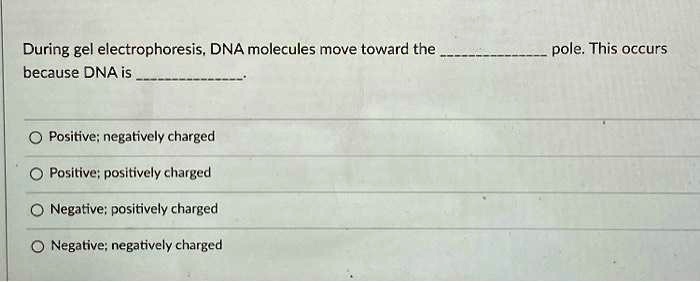 SOLVED: During gel electrophoresis, DNA molecules move toward the ...