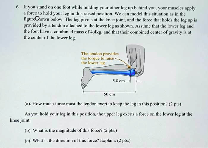 SOLVED: You stand on one foot while holding your other leg up behind ...