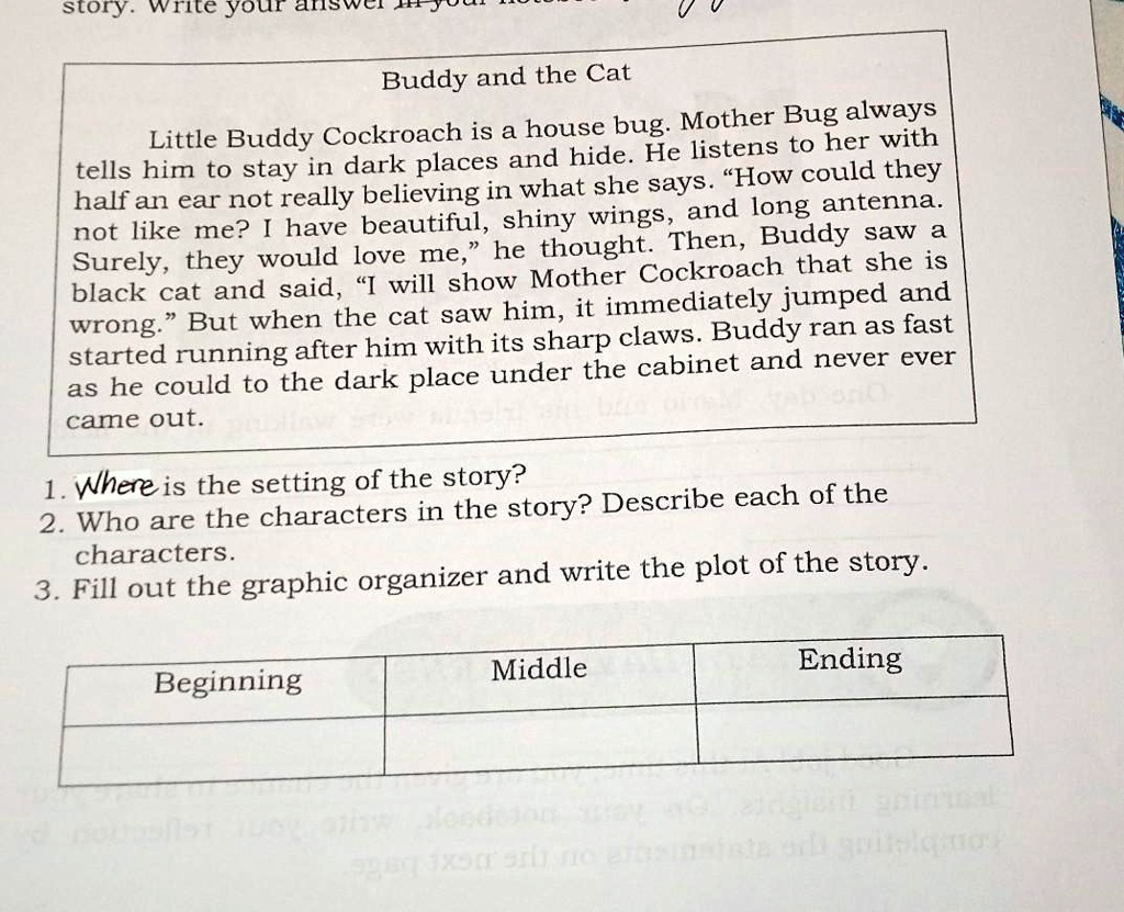 help po please all answer all story wrlte your answci buddy and the cat ...