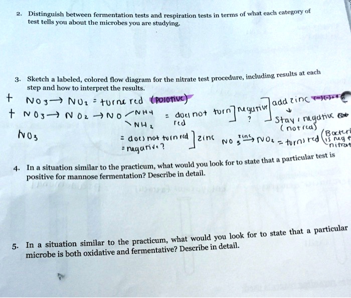 2. Distinguish between fermentation tests and respiration tests in ...