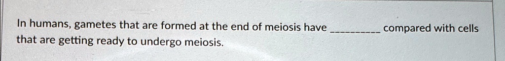 in humans gametes that are formed at the end of meiosis have compared ...