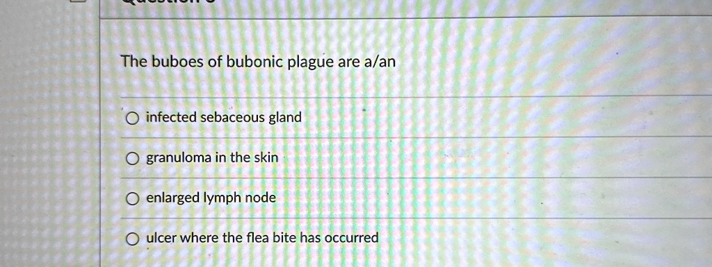 The buboes of bubonic plague are a/an inected sebaceous...
