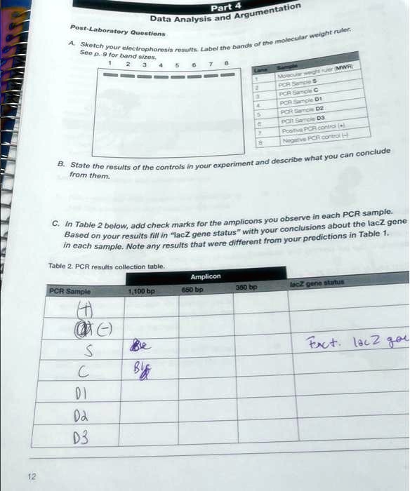 12 Part 4 Data Analysis and Argumentation Post-Laboratory Questions A. Sketch your ...