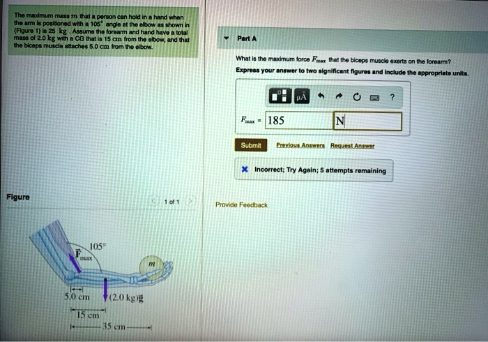 SOLVED: The arm is p (Figure 1) is 25 mass of 2.0 kg the biceps. Part A ...