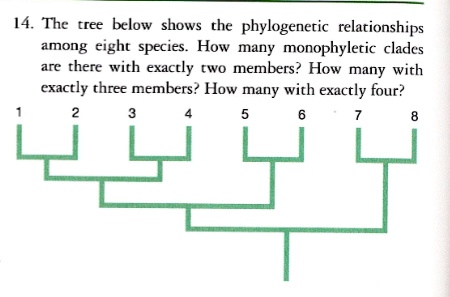 14 the tree below shows the phylogeneric relacionships among eight ...