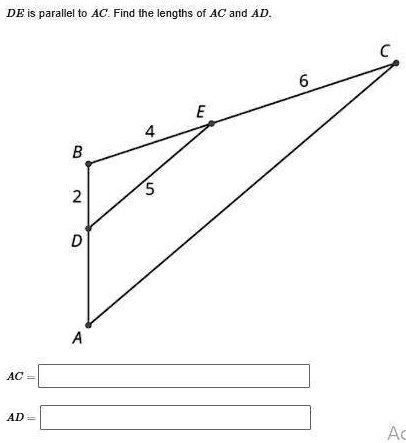 DE is parallel to AC. Find the lengths of AC and AD.