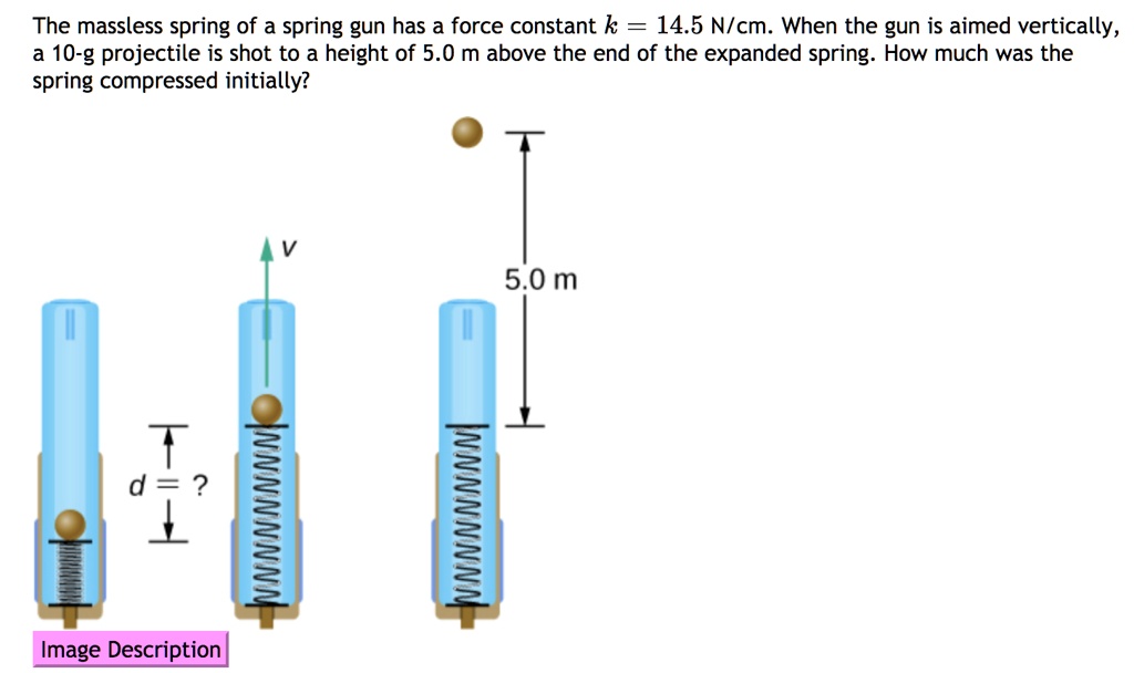the massless spring of a spring gun has a force constant k 145 nlcm ...