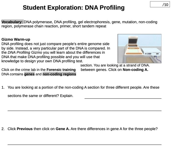 Student Exploration: DNA Profiling Vocabulary: DNA polymerase, DNA ...