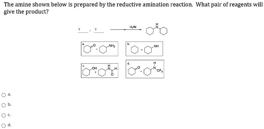 SOLVED: The amine shown below is prepared by the reductive amination ...