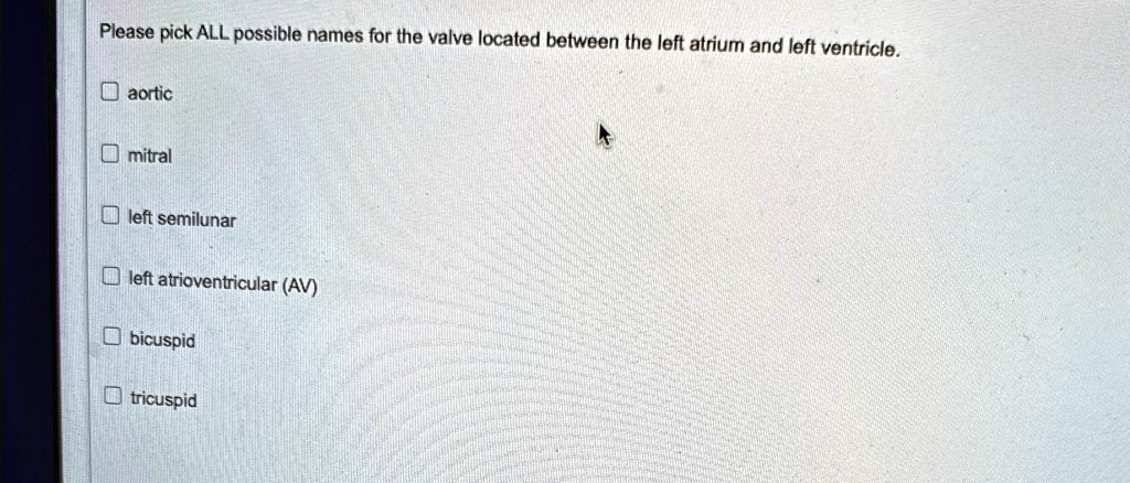 Please pick ALL possible names for the valve located between the left ...