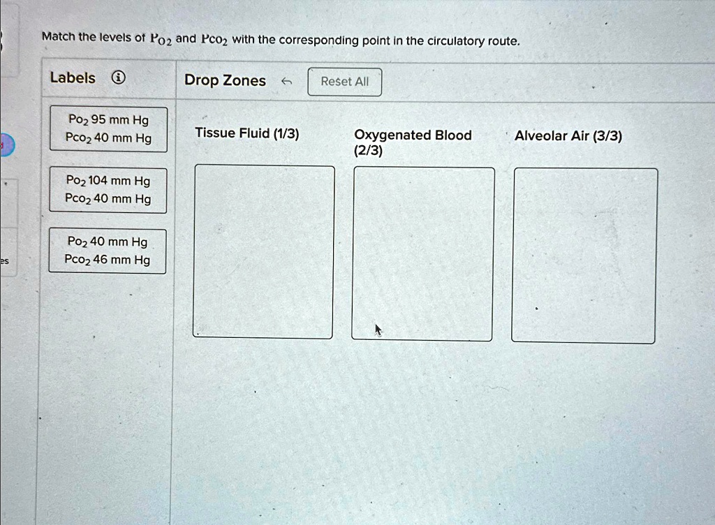 SOLVED: Match the levels of Po2 and Pco2 with the corresponding point in the circulatory route ...