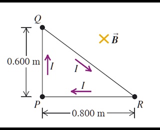 SOLVED: The loop of wire shown in Figure 1 forms a right triangle and ...