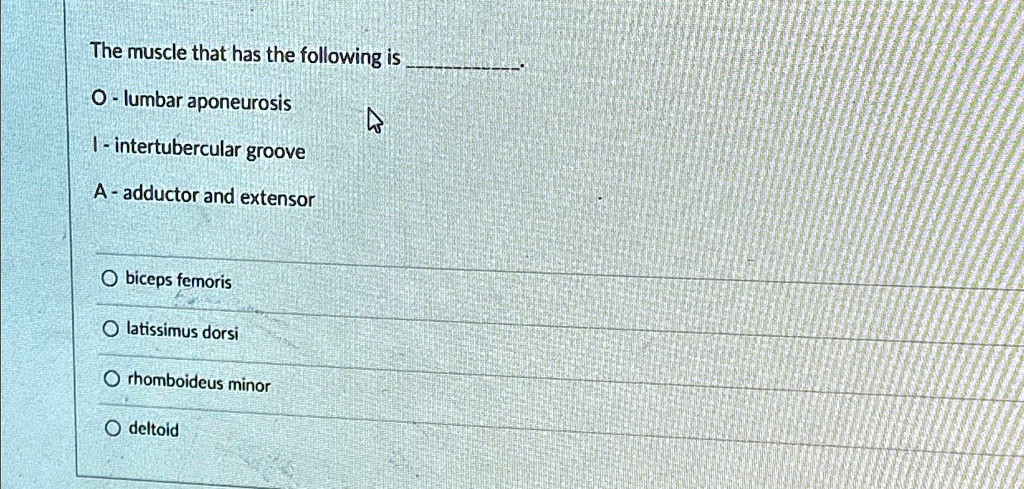 The muscle that has the following is O - lumbar aponeurosis I ...