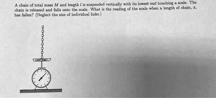 SOLVED: is suspended vertically with its lowest end touching scale The ...
