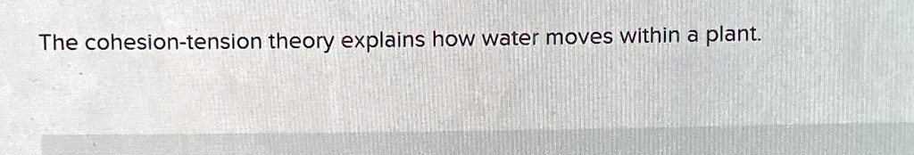 The cohesion-tension theory explains how water moves within a plant.