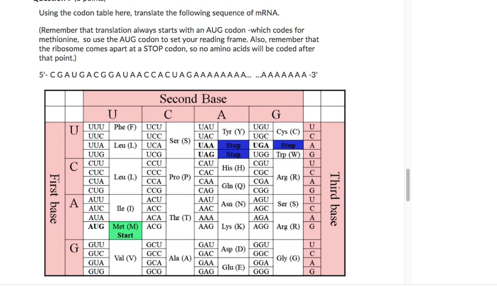 Using the codon table here, translate the following sequence of mRNA. (Remember that translation ...