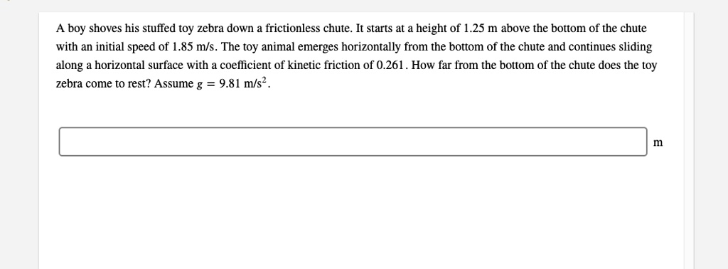 A boy shoves his stuffed toy zebra down frictionless chute...