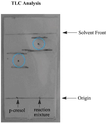 SOLVED: TLC Analysis Solvent Front Origin p-cresol reaction mixture