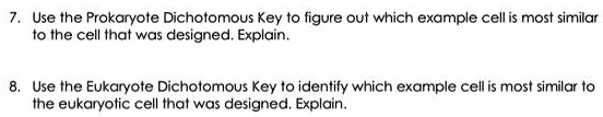 use the prokaryote dichotomous key to figure out which example cell is ...