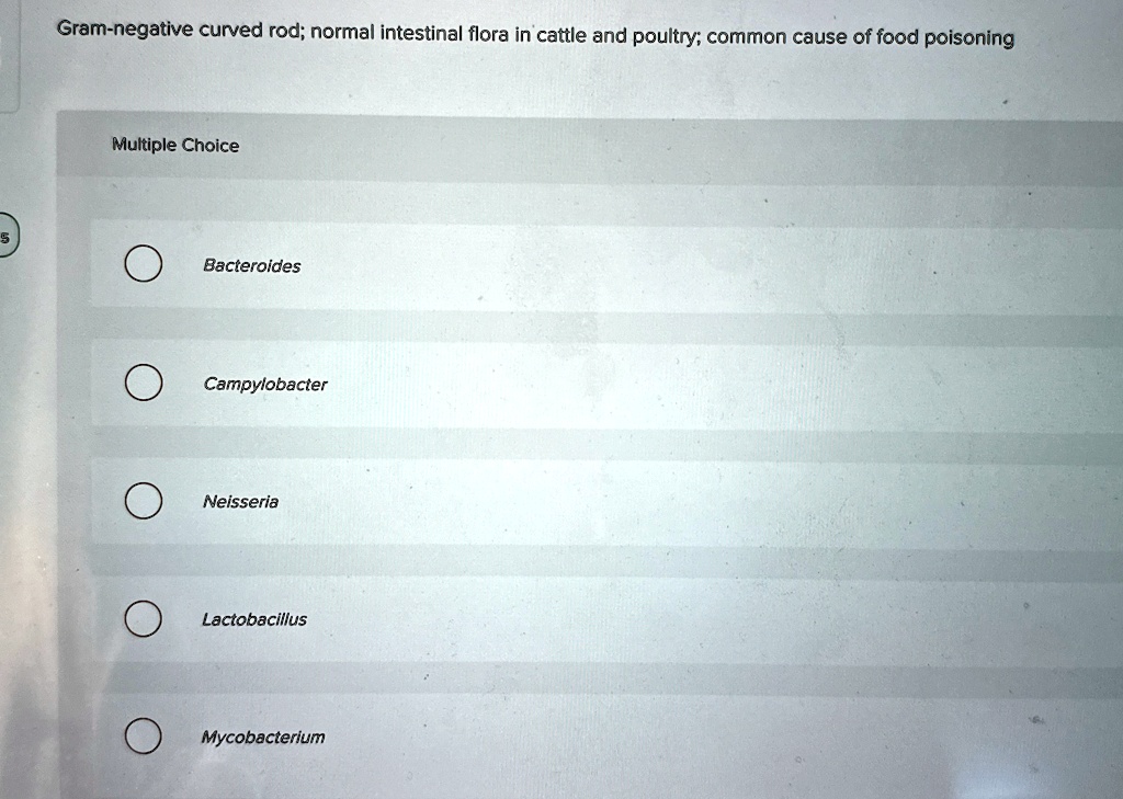 gram negative curved rod normal intestinal flora in cattle and poultry ...