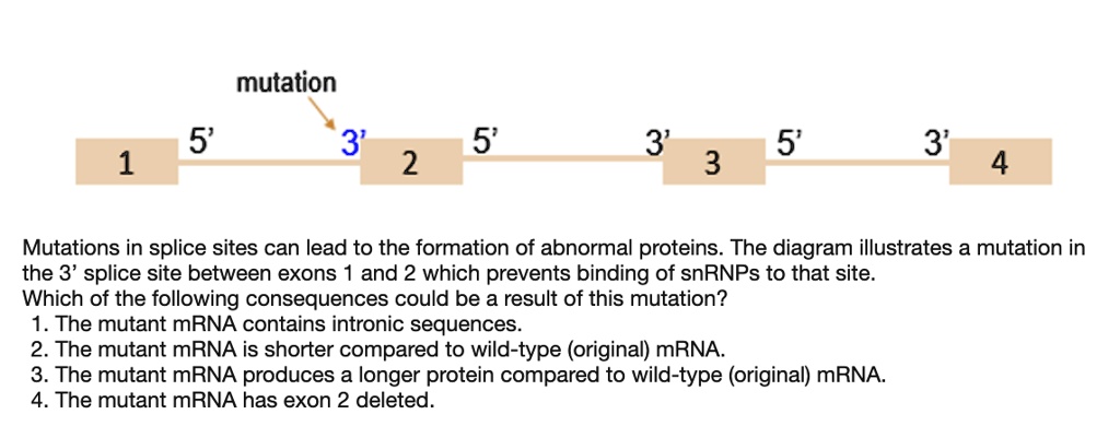 mutation 5 3 2 5 3 3 5 3 1 4 mutations in splice sites can lead to the ...