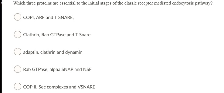 which three proteins are essential to the initial stages of the classic ...