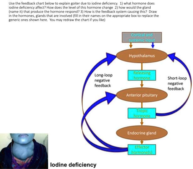 SOLVED: Please explain, thank you. Use the feedback chart below to ...