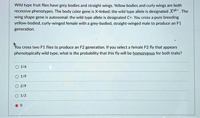 SOLVED: Texts: Wild type fruit flies have grey bodies and straight wings. Yellow bodies and ...
