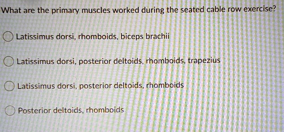 SOLVED: What are the primary muscles worked during the seated cable row ...