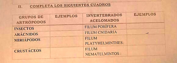 ii completa los siguientes cuadros ejemplos ejemplos grupos de ...