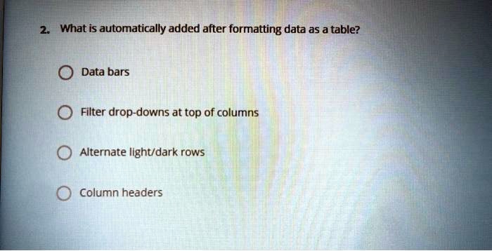 2 What Is Automatically Added After Formatting Data As A Table Data Bars Filter Drop Downs At