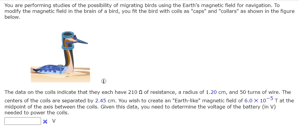 you are performing studies of the possibility of migrating birds using ...