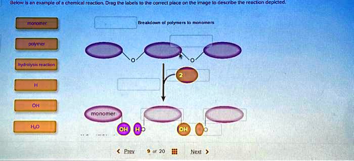 Below is an example of a chemical reaction. Drag the labels to the ...