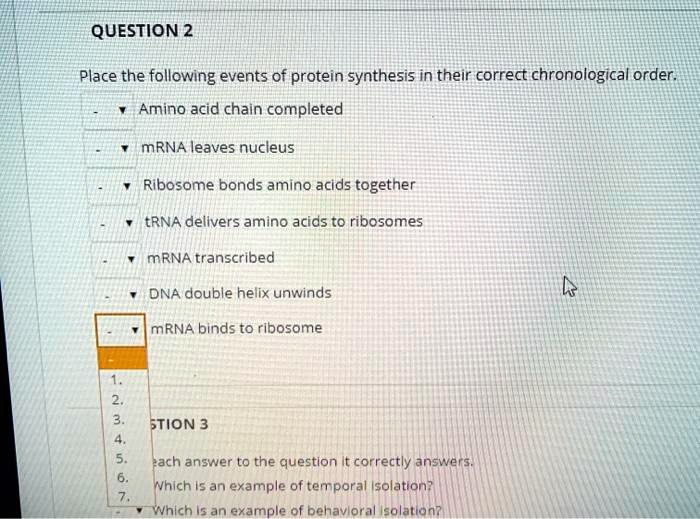 question 2 place the following events of protein synthesis in their correct chronological order ...