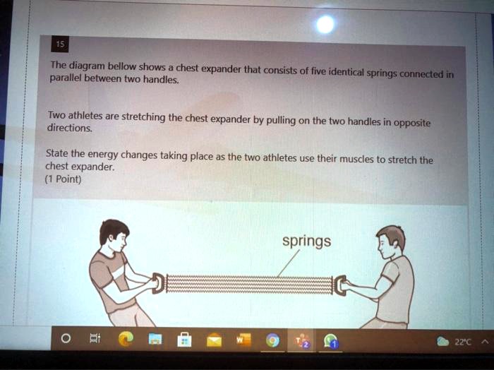 The diagram bellow shows chest expander that consists of five identical ...