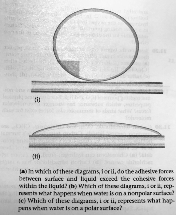 SOLVED: (a) In which of these diagrams, i or ii, do the adhesive forces ...