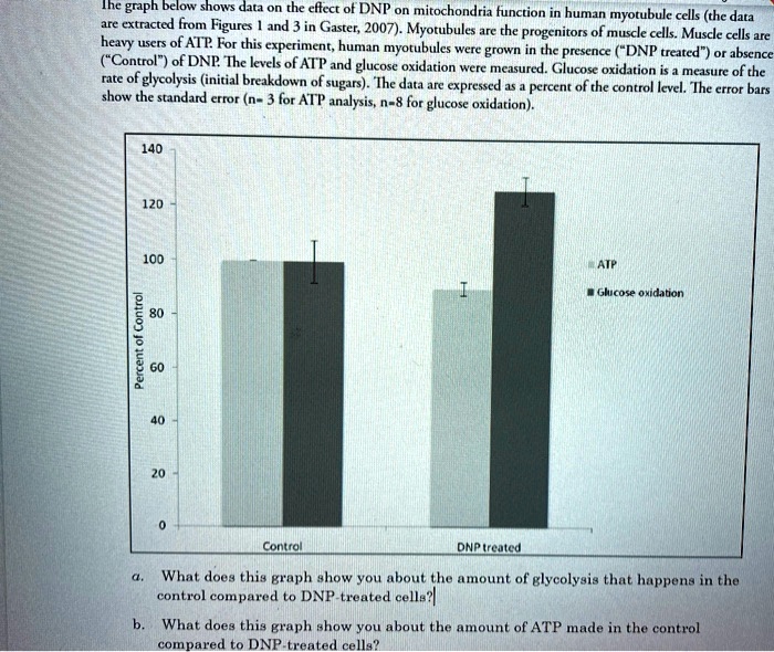 SOLVED: graph below shows data on the eflect ot DNP on mitochondria ...