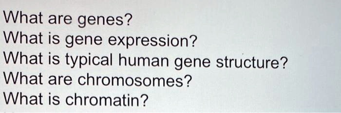 SOLVED: bioinformatic What are genes? What is gene expression? What is ...