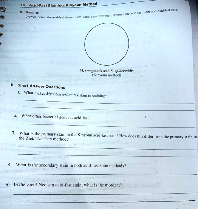 SOLVED: Acid-Fast Staining: Kinyoun Method Results acid-fast from non ...