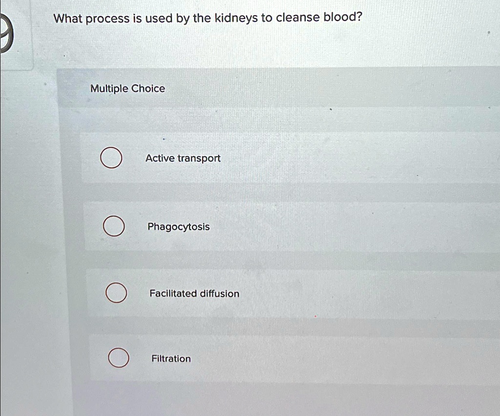 SOLVED: What process is used by the kidneys to cleanse blood? Multiple Choice Active transport ...