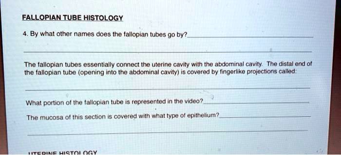 FALLOPIAN TUBE HISTOLOGY 4. By what other names does the fallopian ...