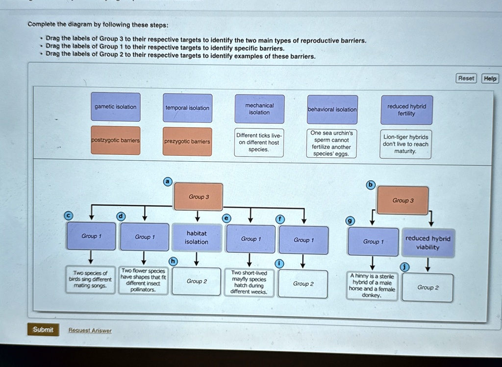 Complete the diagram by following these steps: • Drag the labels of Group 3 to their respective ...