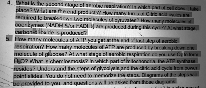 SOLVED: LVhat is the second stage of aerobic respiration? In which ...