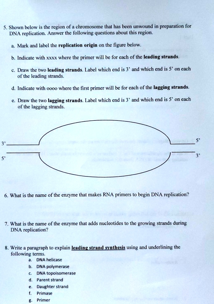 SOLVED: 5. Shown below is the region of a chromosome that has been ...