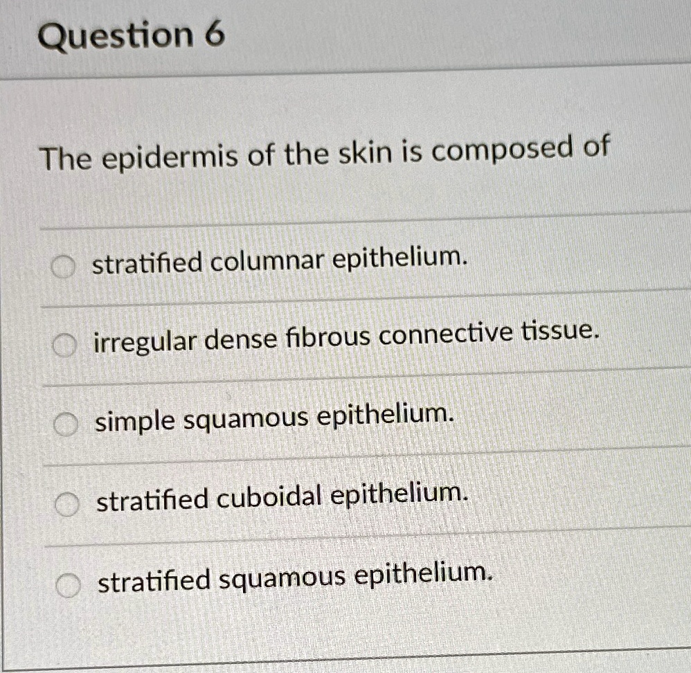 Question 6 The epidermis of the skin is composed of stratified columnar ...