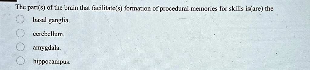 The part(s) of the brain that facilitate(s) formation of procedural ...