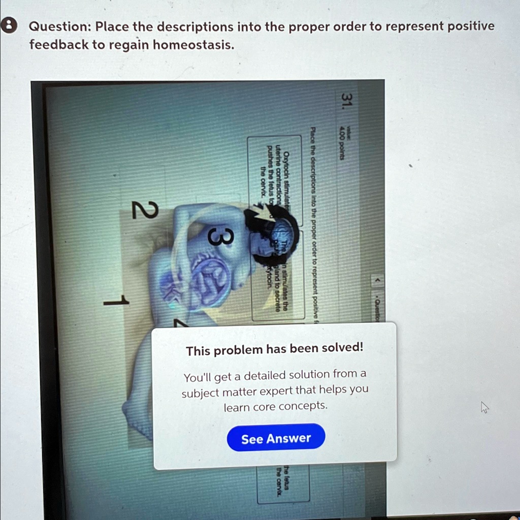 SOLVED: Question: Place the descriptions into the proper order to ... SOLVED: Question: Place the descriptions into the proper order to ...